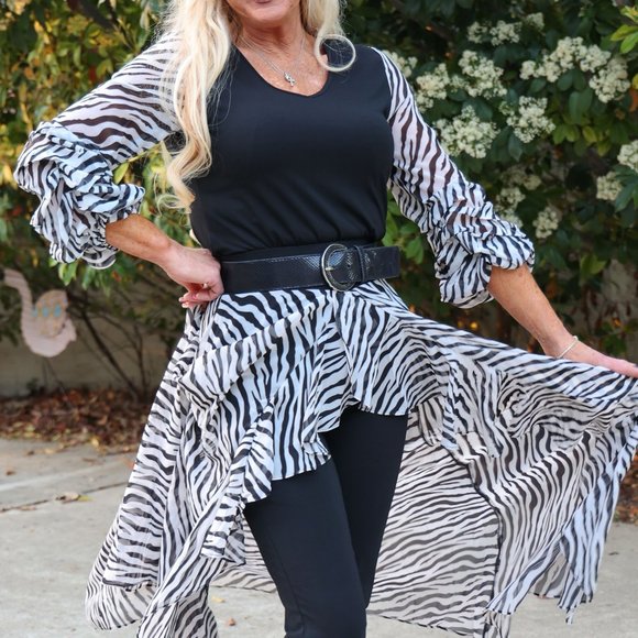 AZI | Tops | Azi Black Bodice V Neck Tunic With Zebra Print Sheer ...